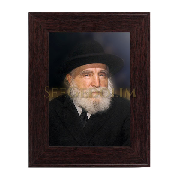 FIENSTIEN R MOSHE - See Gedolim